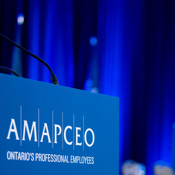 Board of Directors undergoes changes | AMAPCEO